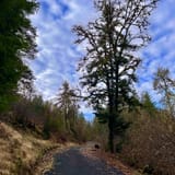 Fitton Green Natural Area Trail, Oregon - 385 Reviews, Map | AllTrails