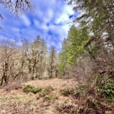 Fitton Green Natural Area Trail, Oregon - 385 Reviews, Map | AllTrails
