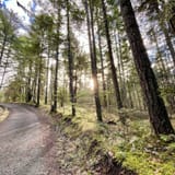 Fitton Green Natural Area Trail, Oregon - 381 Reviews, Map | AllTrails