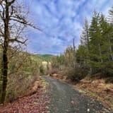Fitton Green Natural Area Trail, Oregon - 385 Reviews, Map | AllTrails