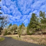 Fitton Green Natural Area Trail, Oregon - 381 Reviews, Map | AllTrails