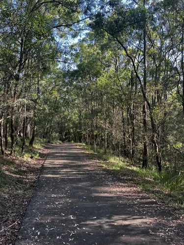 10 Best City Walk Trails in Brisbane | AllTrails