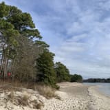 Cape Henry Trail, Virginia - 553 Reviews, Map | AllTrails