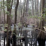 Cape Henry Trail, Virginia - 553 Reviews, Map | AllTrails