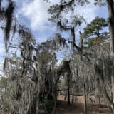 Cape Henry Trail, Virginia - 553 Reviews, Map | AllTrails