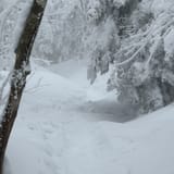 Mount Hunger via Waterbury Trail, Vermont - 1,362 Reviews, Map | AllTrails