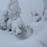 Mount Hunger via Waterbury Trail, Vermont - 1,415 Reviews, Map | AllTrails