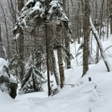 Mount Hunger via Waterbury Trail, Vermont - 1,362 Reviews, Map | AllTrails