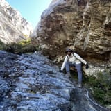 Frenchman's Cap Trail, Tasmania, Australia - 137 Reviews, Map | AllTrails