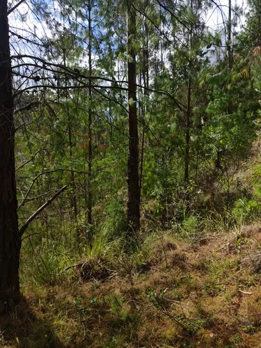 Best Short Trails in Cuenca Canton | AllTrails