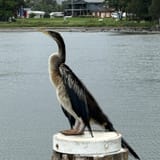 Yallah Bay Jetty to Kanahooka Point, New South Wales, Australia - 39 ...