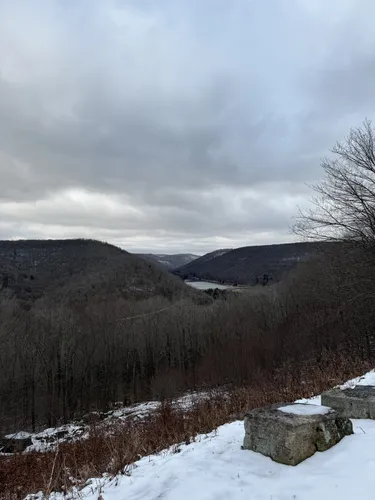 Best Hikes and Trails in Lyman Run State Park | AllTrails