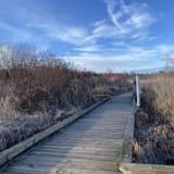 North Creek Trail, Washington - 557 Reviews, Map | AllTrails