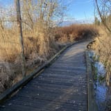 North Creek Trail, Washington - 557 Reviews, Map | AllTrails