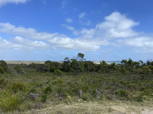 Best Hikes and Trails in Granite Point Conservation Area | AllTrails