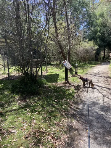 Best Hikes and Trails in Granite Point Conservation Area | AllTrails