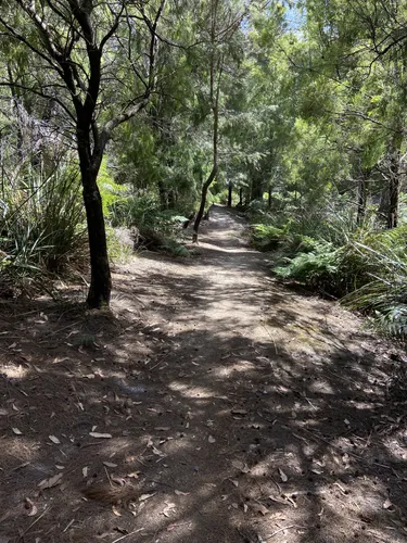 Best Hikes and Trails in Granite Point Conservation Area | AllTrails