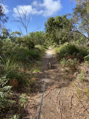 Best Hikes and Trails in Granite Point Conservation Area | AllTrails