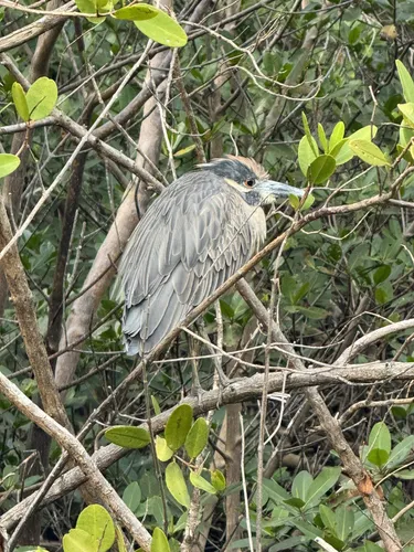 Best Hikes and Trails in Ocean Ridge Natural Area | AllTrails