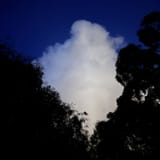 Presidio Loop Trail, California - 1,492 Reviews, Map | AllTrails