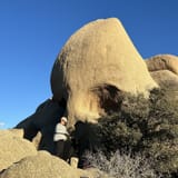 Skull Rock, California - 2,871 Reviews, Map | AllTrails