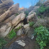 Two Trees Trail, California - 1,309 Reviews, Map | AllTrails