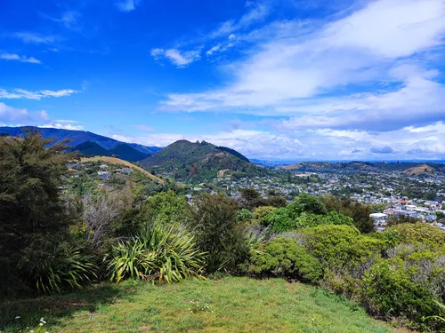Best Hikes and Trails in Nelson Botanical Reserve | AllTrails