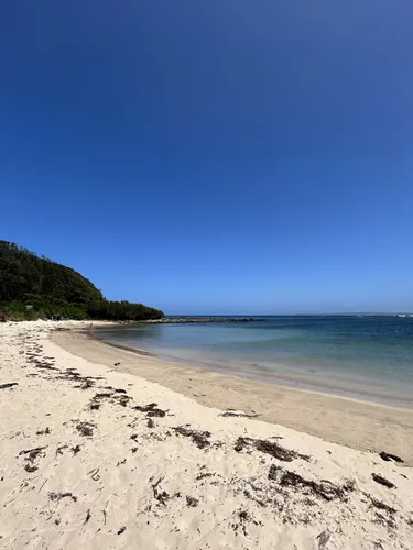 Best Hikes and Trails in Broulee Island Nature Reserve | AllTrails