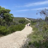 Bouddi Coastal Walk: Little Beach to Putty Beach, New South Wales ...