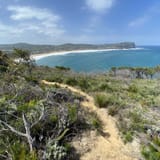Bouddi Coastal Walk: Little Beach to Putty Beach, New South Wales ...