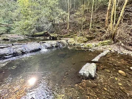 Best Hikes and Trails in Chichester State Forest | AllTrails