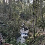 Lower Macleay Park to Pittock Mansion, Oregon - 4,157 Reviews, Map ...