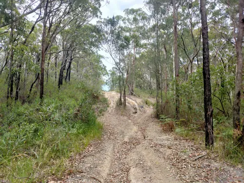 Best Hikes and Trails in Crangan Bay | AllTrails