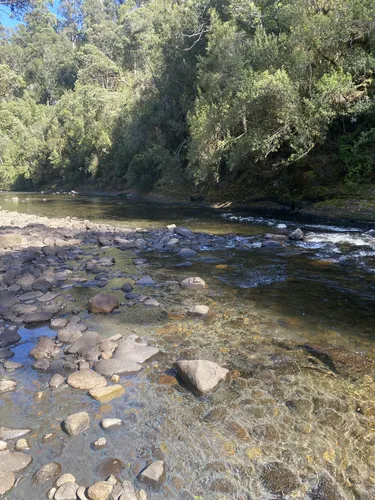 Best Hikes and Trails in Hellyer Gorge State Reserve | AllTrails