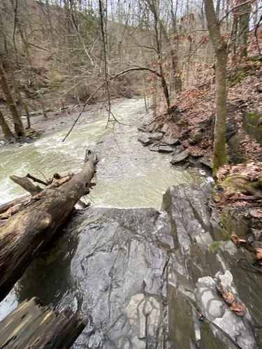 Best Hikes and Trails in Union Springs | AllTrails