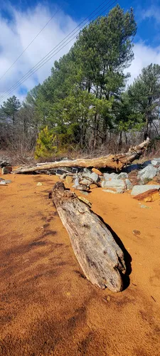 Best Hikes and Trails in Elk Forest Managed Hunting Area | AllTrails