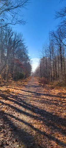 Best Hikes and Trails in Elk Forest Managed Hunting Area | AllTrails