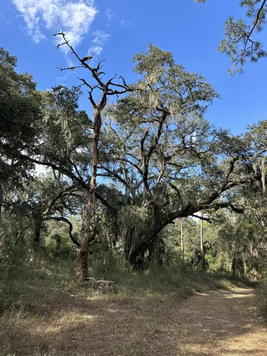 Best Hikes and Trails in Dade Battlefield Historic State Park | AllTrails