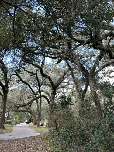 Best Hikes and Trails in Dade Battlefield Historic State Park | AllTrails