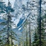 Emerald Lake Loop, British Columbia, Canada - 2,444 Reviews, Map ...