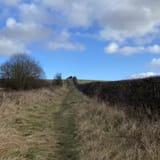 Beamish Park and Causey Arch Circular, County Durham, England - 407 ...