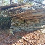 Cook's Wall Trail, North Carolina - 361 Reviews, Map | AllTrails