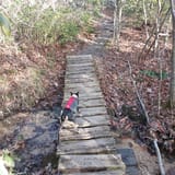 Cook's Wall Trail, North Carolina - 361 Reviews, Map | AllTrails