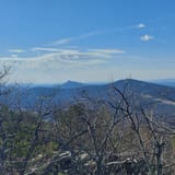 Cook's Wall Trail, North Carolina - 361 Reviews, Map | AllTrails
