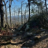 Cook's Wall Trail, North Carolina - 361 Reviews, Map | AllTrails