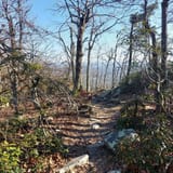 Cook's Wall Trail, North Carolina - 445 Reviews, Map | AllTrails