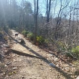 Cook's Wall Trail, North Carolina - 445 Reviews, Map | AllTrails