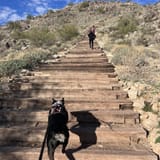 Victory Stairs, Arizona - 960 Reviews, Map | AllTrails