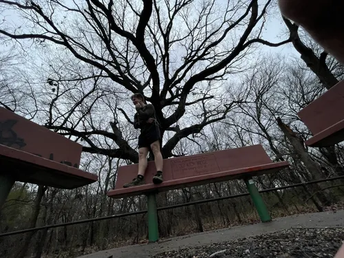 Best Hikes and Trails in Pilot Knoll Park | AllTrails