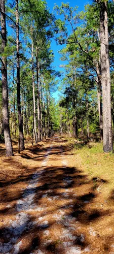 Best Hikes and Trails in Half Moon Wildlife Management Area | AllTrails